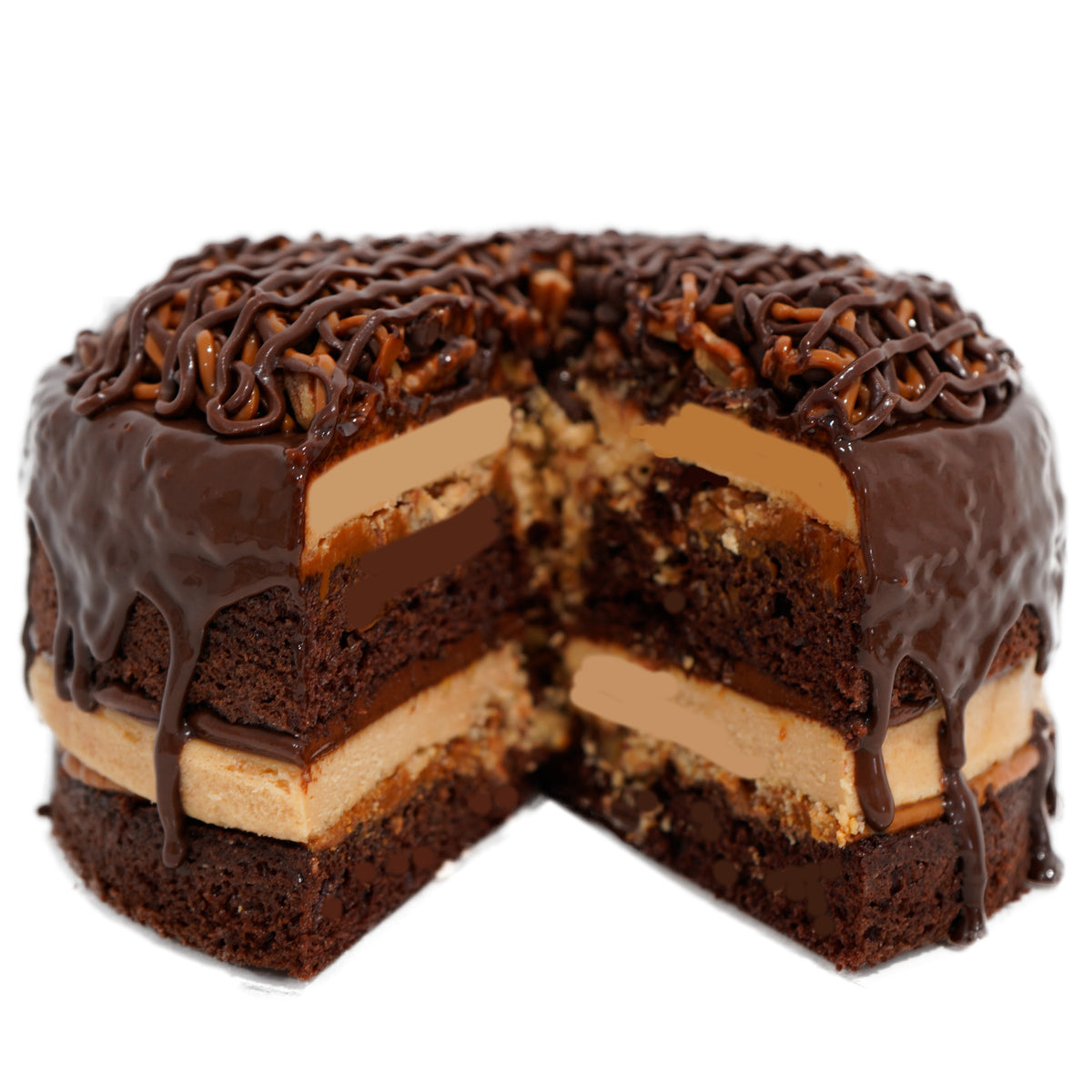 Pastel Tortuga especial – Kuchen Alta Reposteria